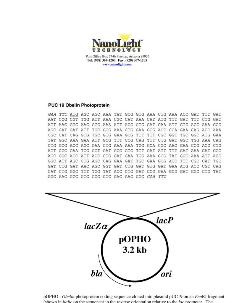 Product categories Photoprotein Vectors Archive | Nanolight Technology