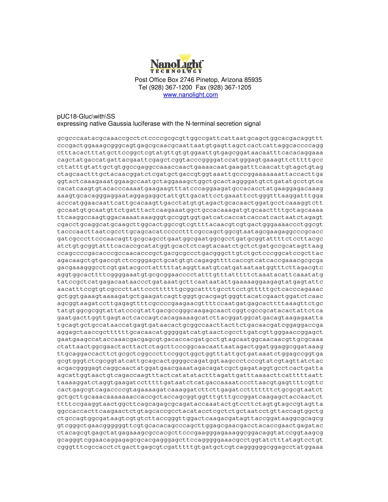 pUC18 SS-Gluc