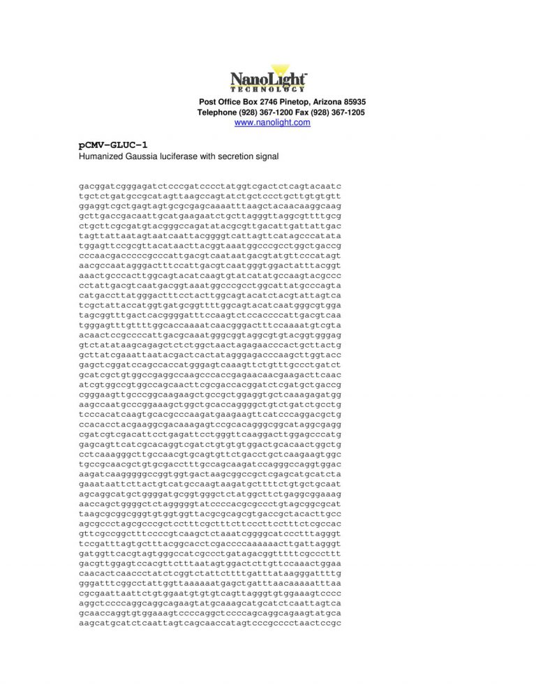 pCMV-Gluc