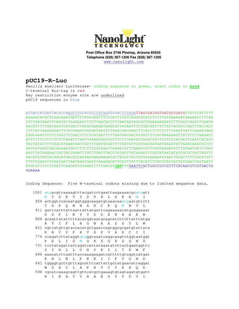 pUC19 R.M. Luc