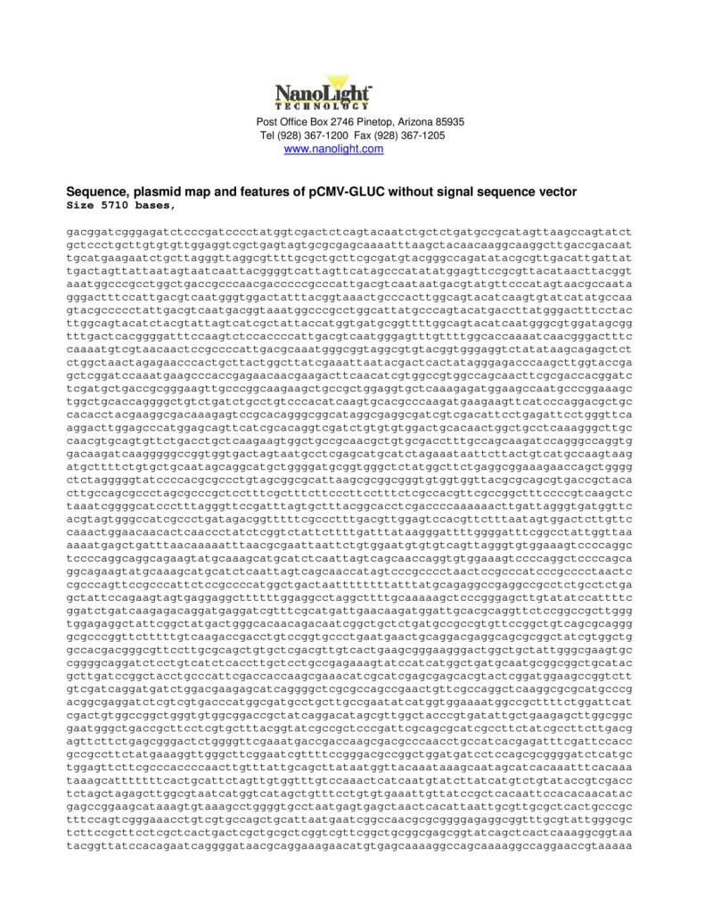 Product categories Luciferase Vectors Archive | Nanolight Technology