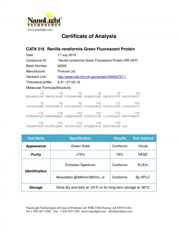 Renilla Reniformis GFP
